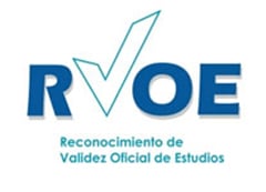 Universidad en Línea y Preparatorias en México | UNEA